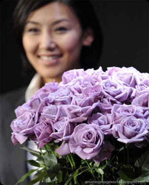 Best Pics Of The Day | Amazing Image World